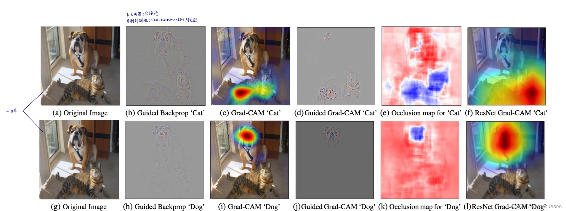 以GradCAM为例的衍生算法分析_gradcam++平方再加-CSDN博客