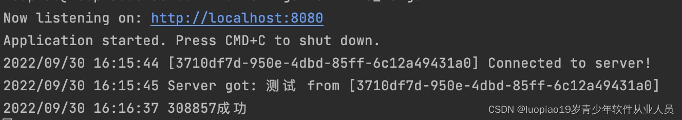 iris+websocket_iris websockt-CSDN博客