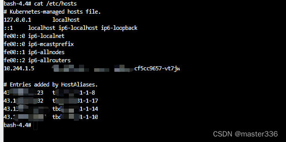 k8s下给容器添加自定义hosts参考示例_yaml 设置hostname-CSDN博客