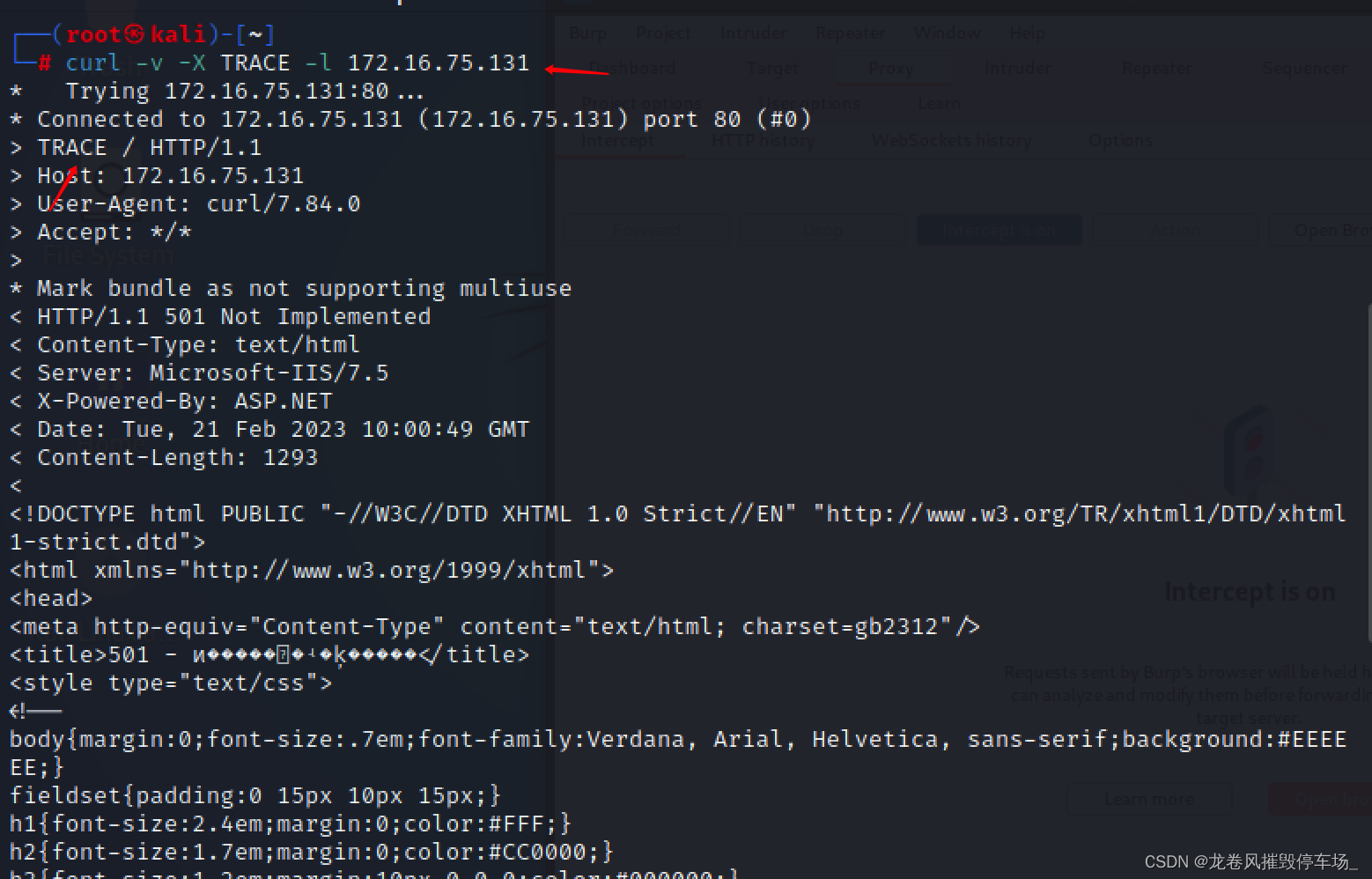 远端WWW服务支持TRACE请求-CSDN博客