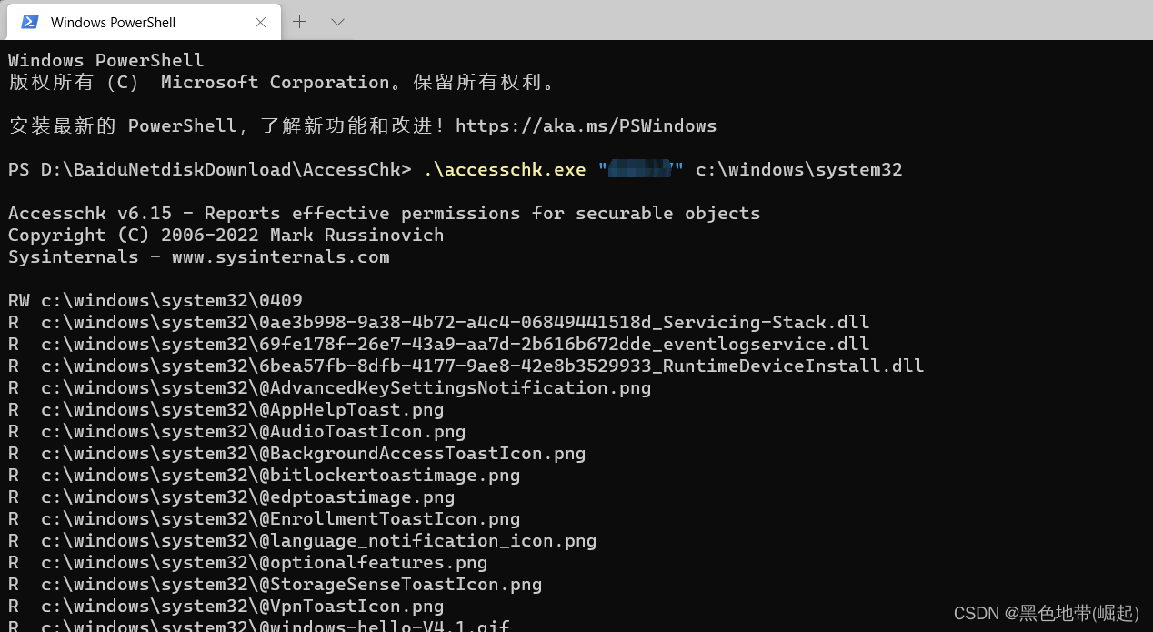 【windows系统配置检查工具】微软AccessChk系统资源检查：下载地址、命令、使用示例_accesschk.exe-CSDN博客