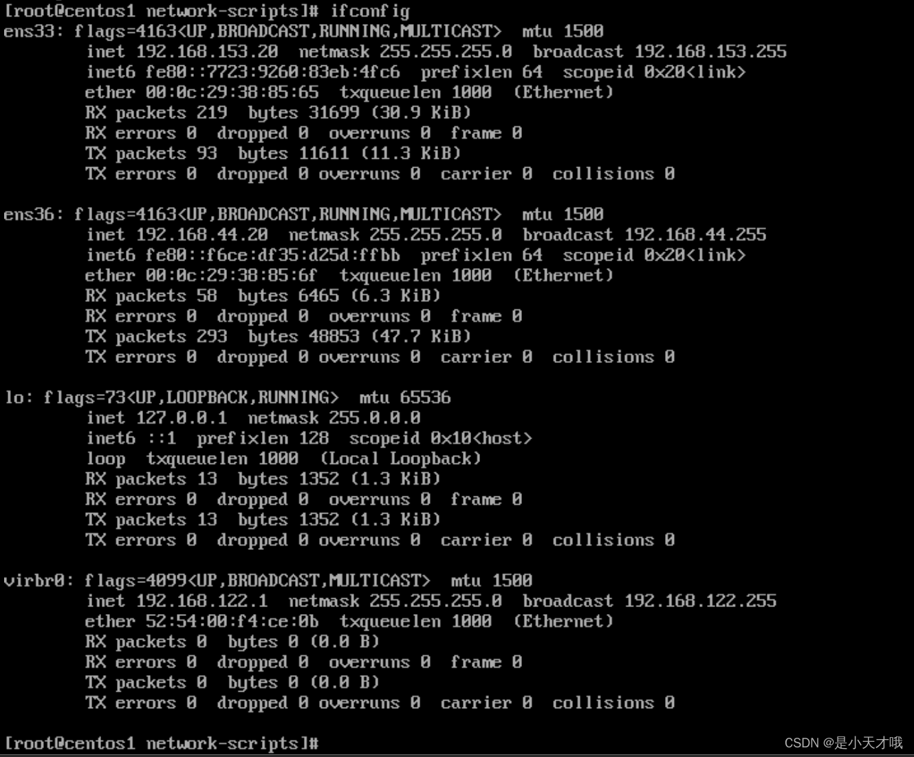 linux服务-dhcp中继_dhcp relay-CSDN博客