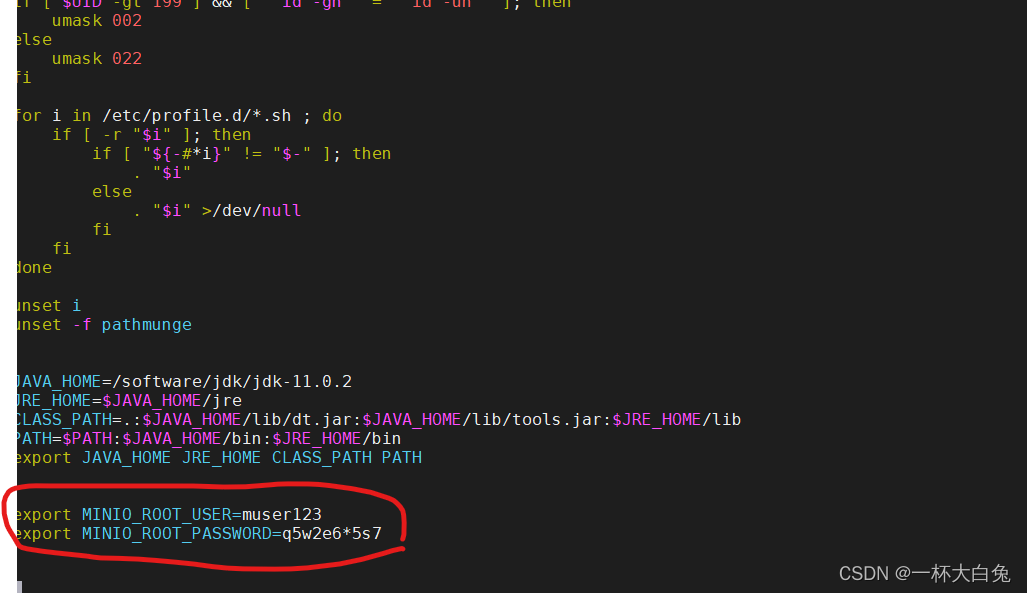 MnIO的安装及简单使用（Linux）-CSDN博客