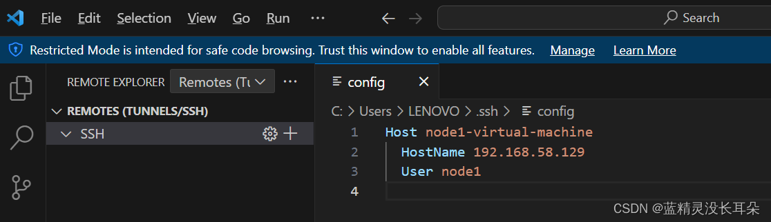 Remote-SSH_remote ssh-CSDN博客