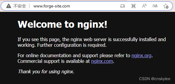 【nginx】nginx配置加固之阻止恶意域名访问nginx限制域名访问 Csdn博客