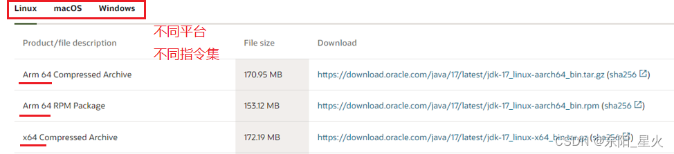 Java语言的优缺点和java的核心机制 :jvmjava运行的核心机制 Csdn博客