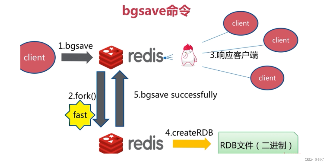 学习 redis的持久化_redis incr 持久-CSDN博客