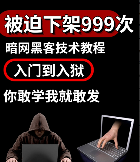 小白入门到入狱黑客技术教程。没人敢学 Hacker零基础入门到入狱训练营 Csdn博客
