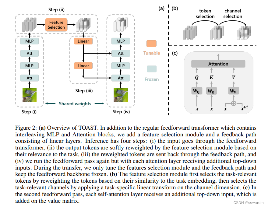 重新聚焦Attention在微调大模型中的重要性_tdam:'top-down attention module forcontextually gu-CSDN博客