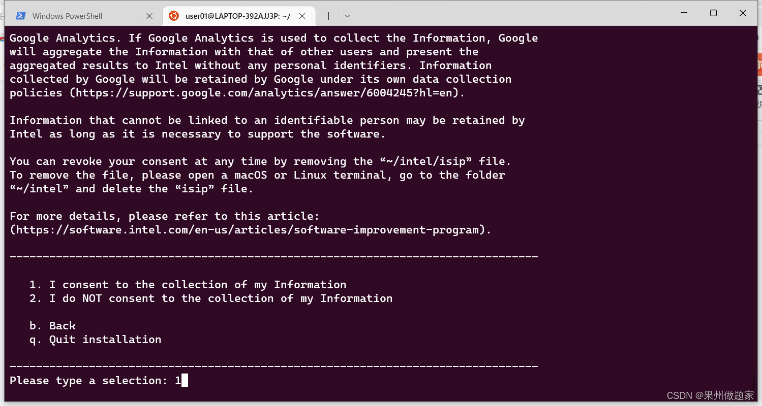 wsl安装英特尔openvino_lspci: cannot find any working access method-CSDN博客