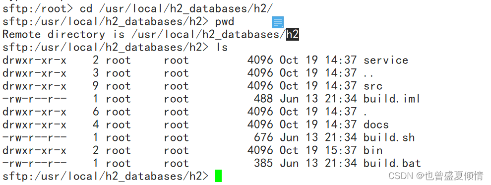 H2数据库搭建_h2 创建数据库-CSDN博客