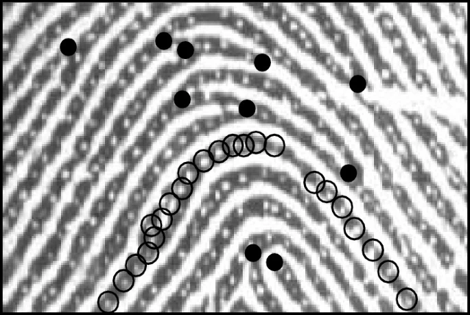 指纹识别综述(1): 导论_fvc指纹-CSDN博客