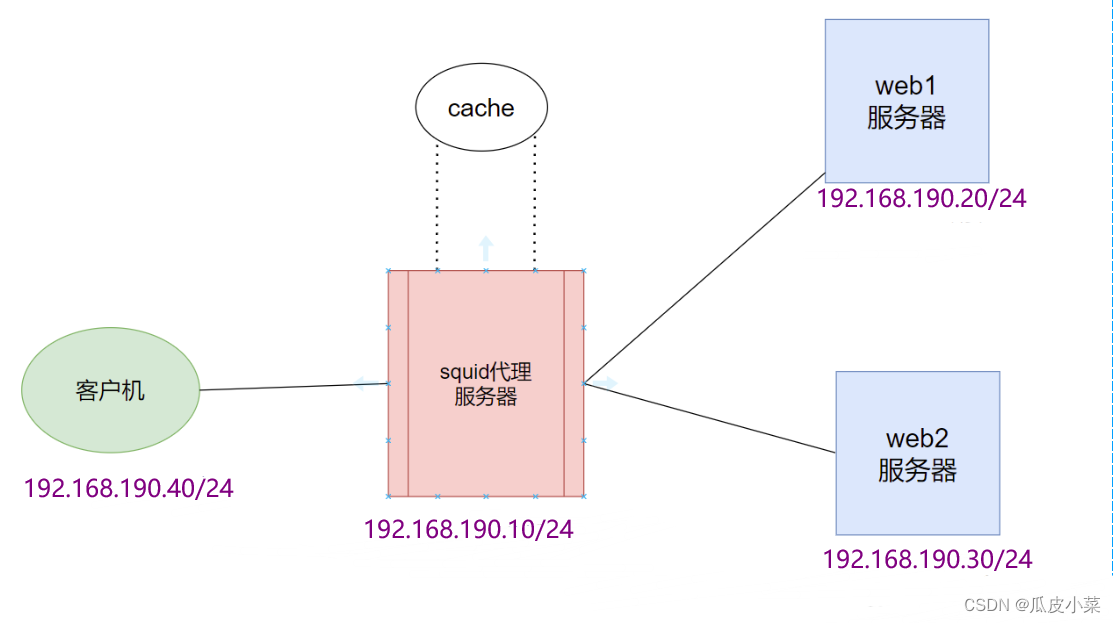 web缓存—Squid代理服务_wepsqd-CSDN博客