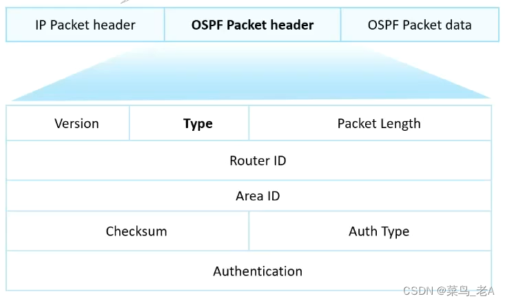 OSPF协议-CSDN博客