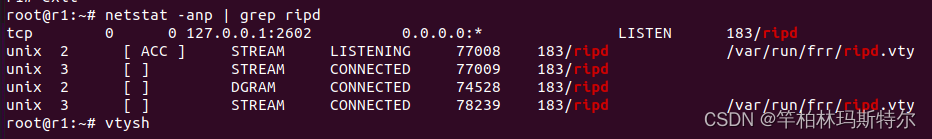 Ubuntu20.04利用FRR配置OSPF路由协议_ubuntu22.04的frr怎么用-CSDN博客