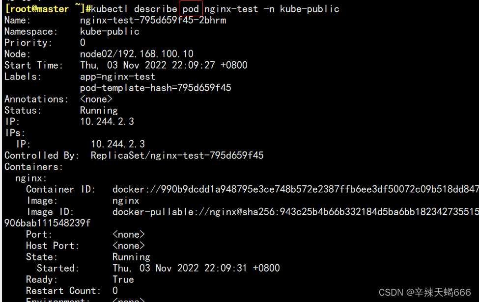 云原生之K8s管理工具—kubectl 详解(一)_kubectl edit-CSDN博客