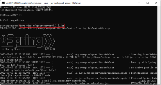 WebGoat8.2.2下载安装（Windows）_webgoat下载-CSDN博客