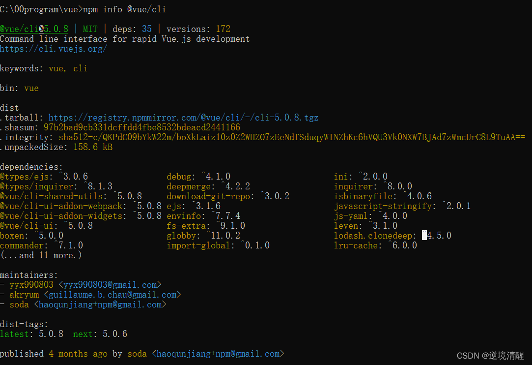 Node.js (v22.4.1 npm 10.8.1) vue.js安装配置教程（超详细）_npm版本-CSDN博客