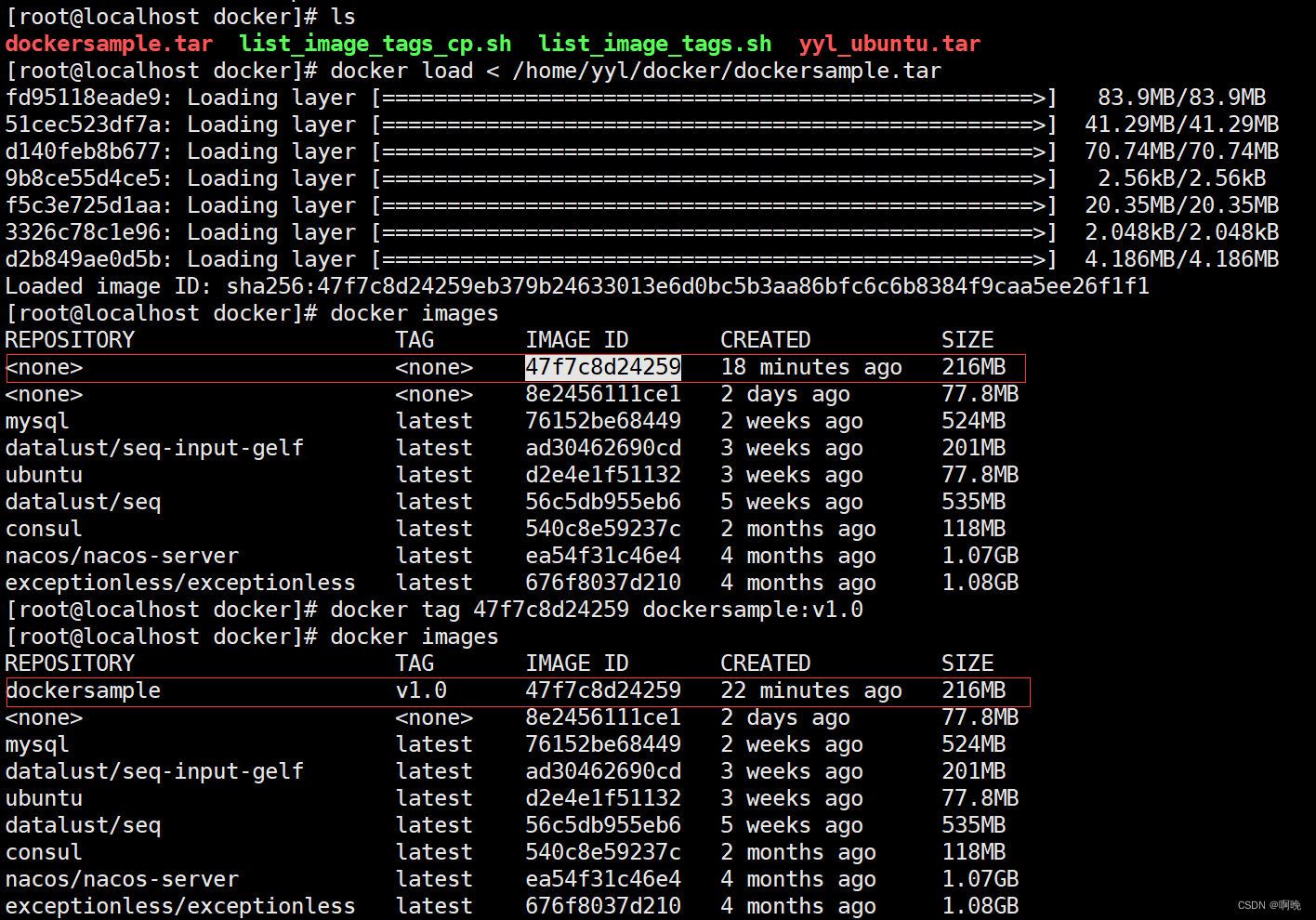 容器技术—.net core on docker_netcore 2.2 docker-CSDN博客