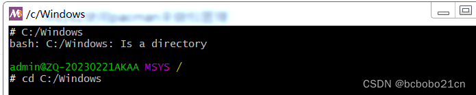 从MSYS2访问Windows目录_msys2 windows 目录-CSDN博客
