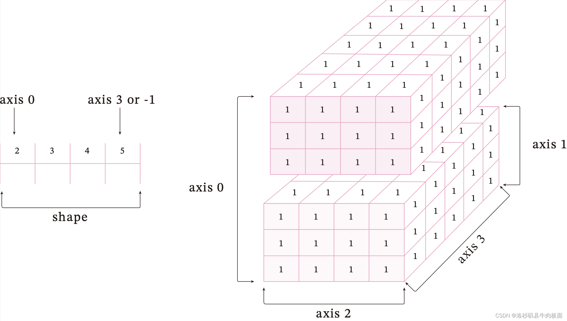 深度学习 张量tensor Pytorch实现 Hbu作业张量可视化 Csdn博客