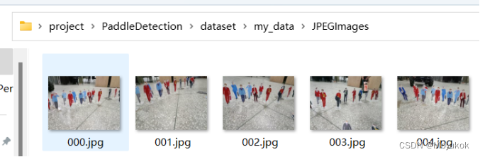 PaddleDetection使用教程_ppdet.utils.checkpoint info: finish loading model -CSDN博客