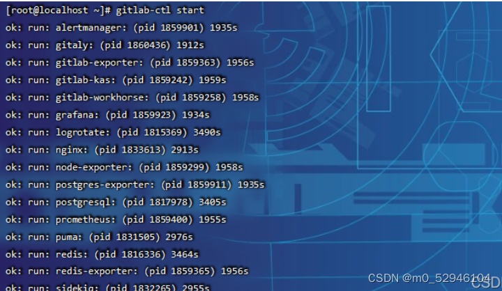 Linux CentOS8安装gitlab步奏-CSDN博客