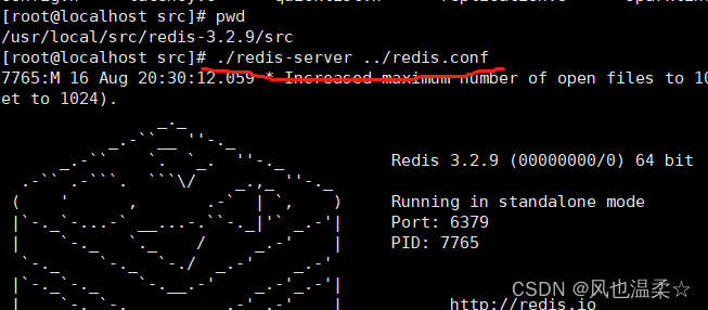 Redis安装以及RESP连接Redis服务器_resp 连接-CSDN博客