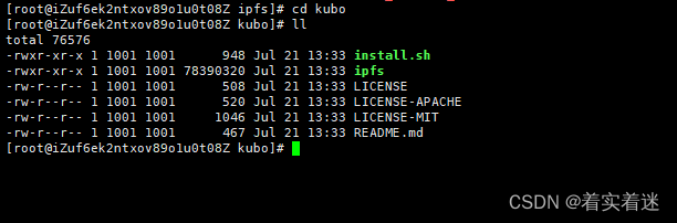 linux 安装ipfs —— IPFS环境配置_jetbra.in checker | ipfs-CSDN博客