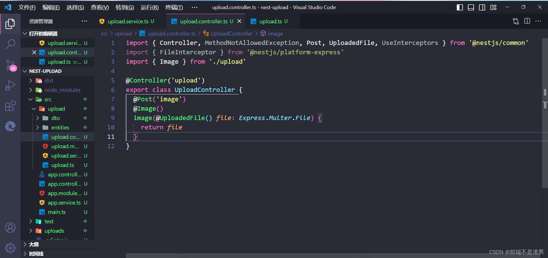 一文带你弄懂nest.js文件上传_nestjs 文件上传-CSDN博客