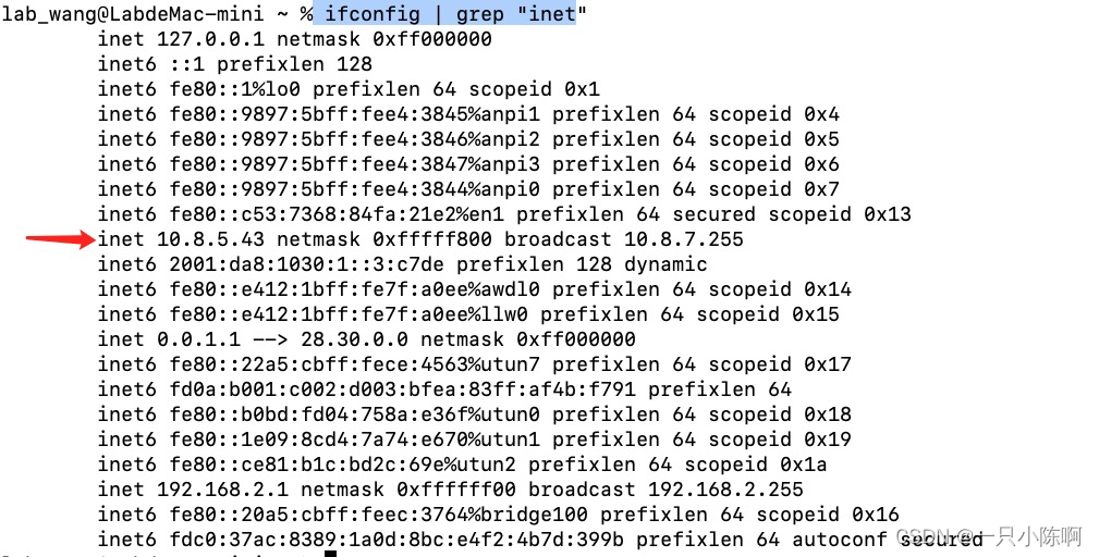 在MAC启动Rshiny应用，提供局域网下的其他用户_mac 安装 r shiny-CSDN博客
