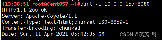 解决Apache Tomcat版本泄露，Apache-Coyote/1.1自定义_茂茂 呀的博客-CSDN博客