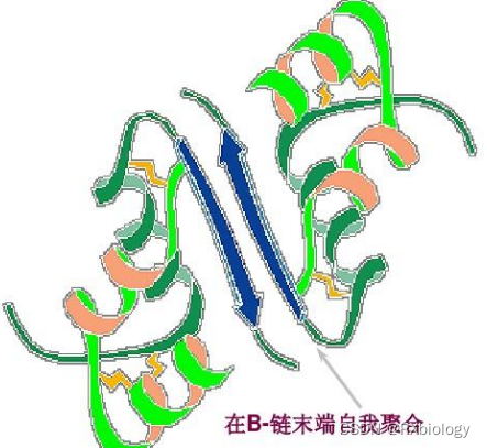 荧光素PE-Cy7标记链霉亲和素,PE-Cy7/Streptavidin，Streptavidin/PE-Cy3_pecy7荧光通道-CSDN博客