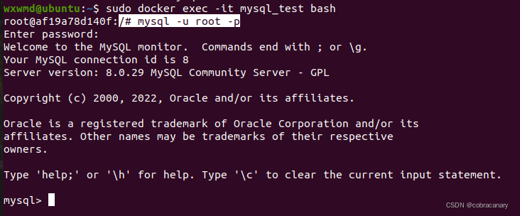 docker修改mysql中的my.cnf_docker 的mysql如何修改my.cnf-CSDN博客