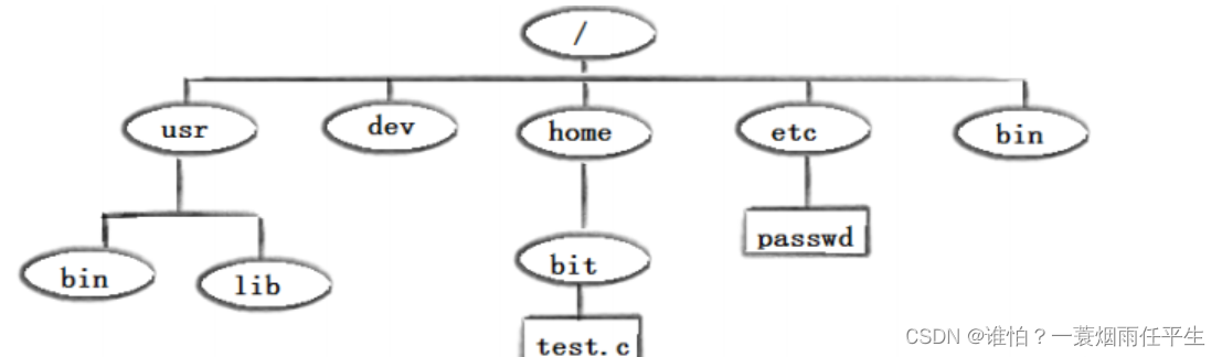 【Linux】常见指令_linux epoch-CSDN博客