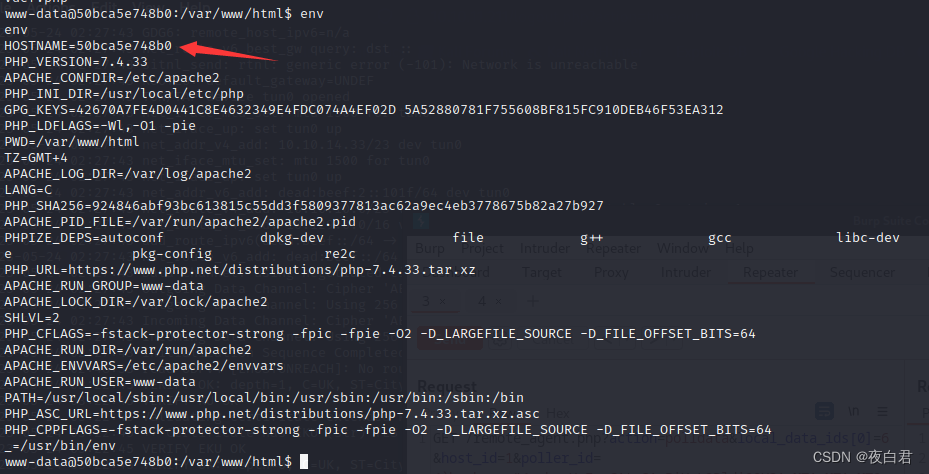 HackTheBox系列-MonitorsTwo-CSDN博客
