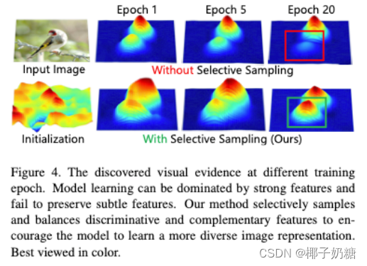 Selective Sparse Sampling for Fine-grained Image Recognition-CSDN博客