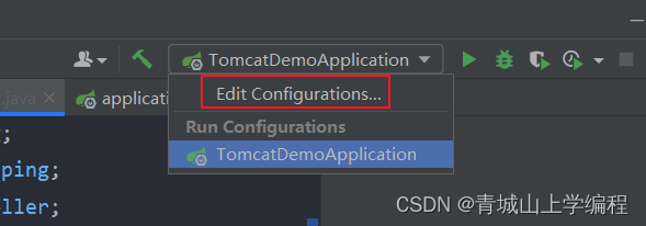 IDEA 在远程 Tomcat 上运行项目（亲身避坑版）_idea tomcat remote-CSDN博客