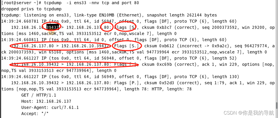 tcpdump抓包_tcpdump icmp-CSDN博客