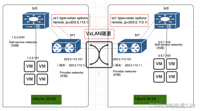 Ubuntu 20.04 上学习Open vSwitch ：VxLAN_openvswitch-switch-CSDN博客