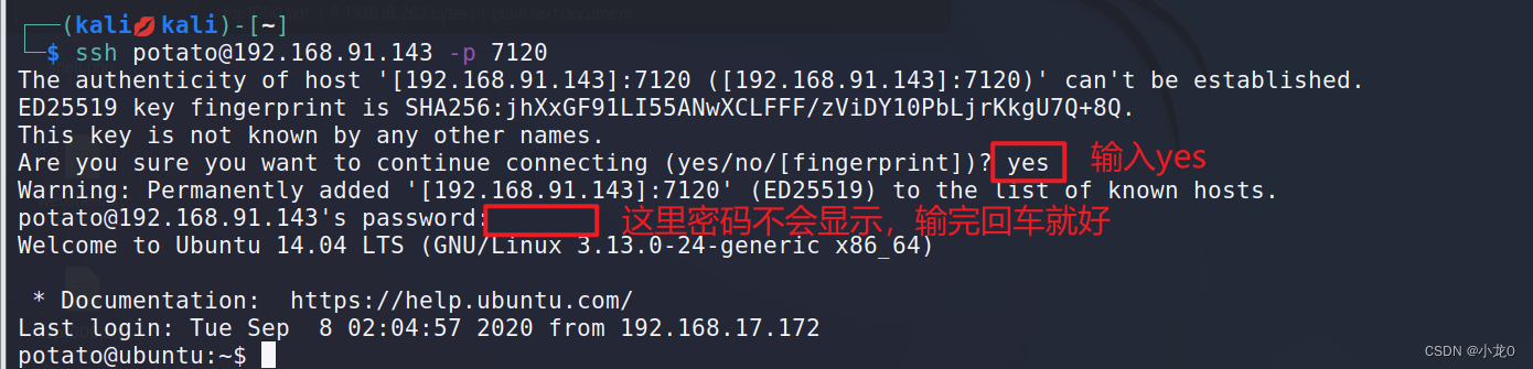 potato靶机_kali potato-CSDN博客