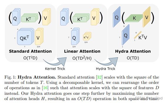 Hydra Attention: Efficient Attention with Many Heads-CSDN博客