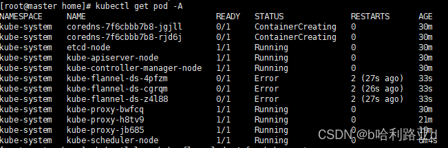 k8s安装flannel组件出错_flannel error registering network: failed to acqui-CSDN博客