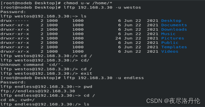 Linux中的vsftpd服务的部署及优化_vsftp /var/ftp/pub-CSDN博客