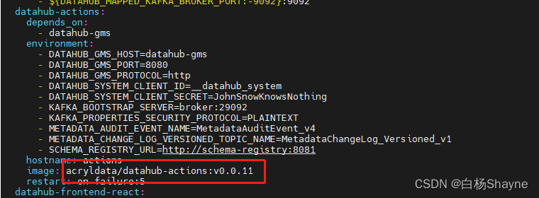 数据治理工具DataHub的安装及踩坑过程_datahub安装-CSDN博客