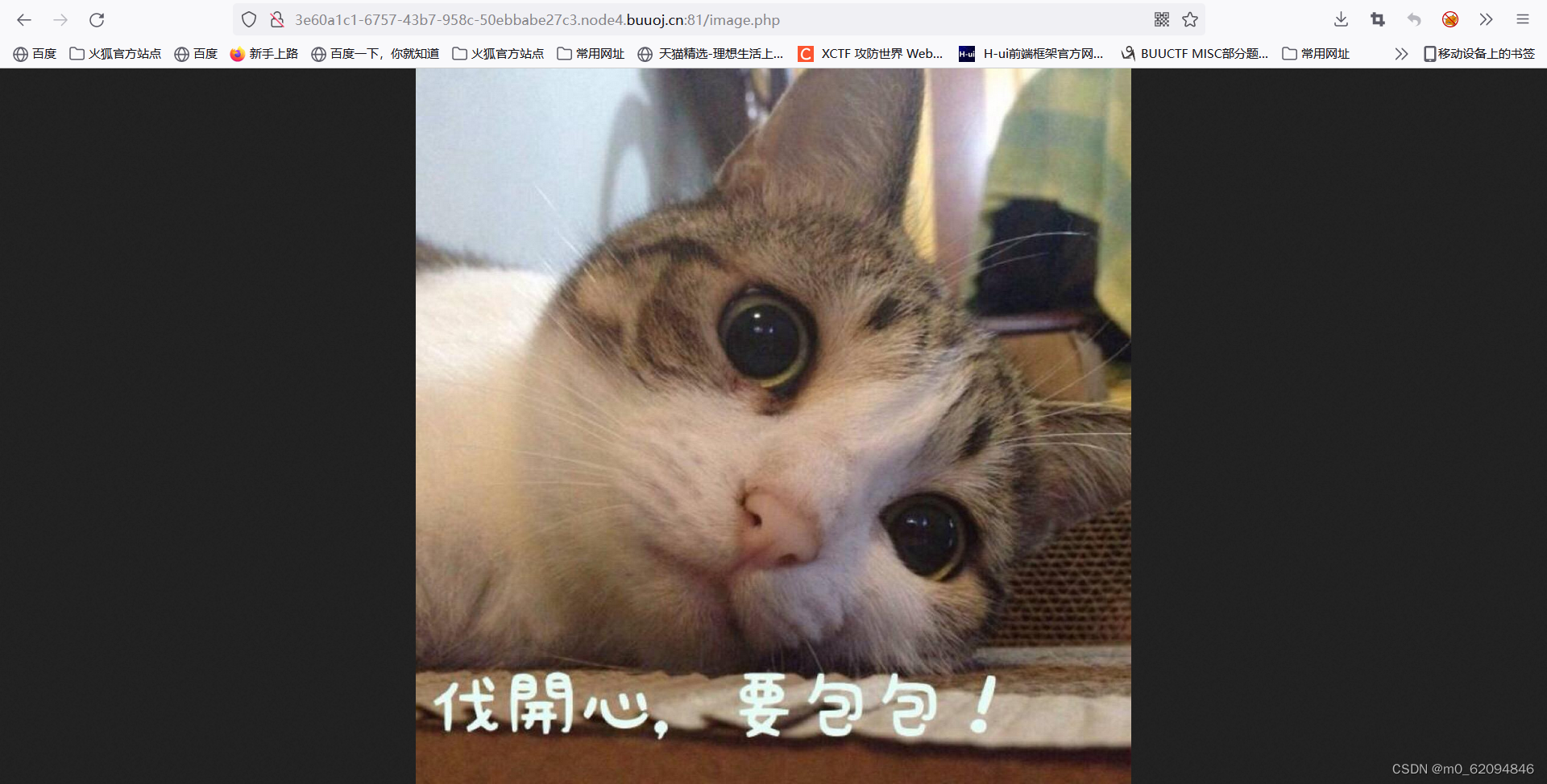 buuctf-[CISCN2019 总决赛 Day2 Web1]Easyweb_buuctf[ciscn2019 总决赛 day2 web1]easyweb-CSDN博客