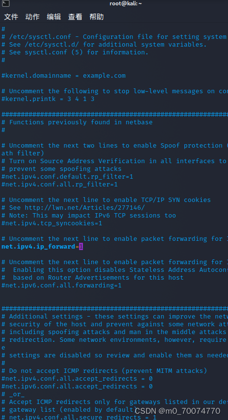 kali kali cat /proc/sys/net/ipv4/ip_forward 0 解决方法_netipv4ipforward没有这一行-CSDN博客