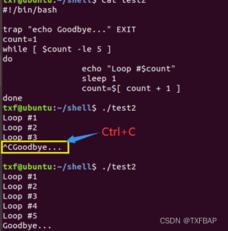Linux系统shell脚本编程笔记——处理信号、作业控制等_shell 脚本处理信号-CSDN博客