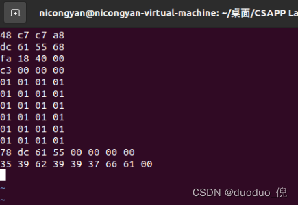 CSAPP Lab3：Attack Lab-CSDN博客