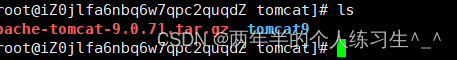 在linux服务器上安装tomcat（保姆教程）_liunx怎么在线安装tomcat9-CSDN博客